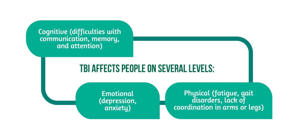 Military and civilian TBI • AMN • Academy for Multidisciplinary ...